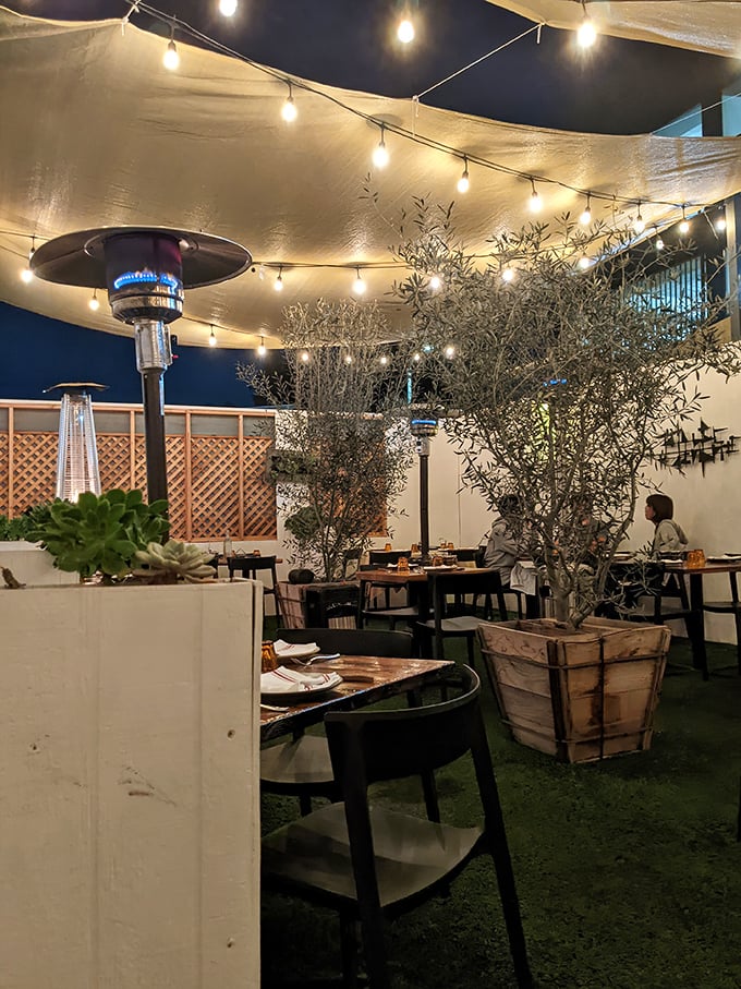 The outdoor patio, where string lights and olive trees create dining magic under the Venice sky. Al fresco perfection for those perfect LA evenings.
