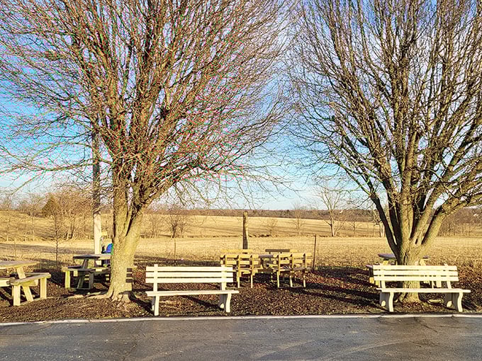Simple wooden benches under shade trees offer the perfect setting for savoring your burger while watching rural Missouri roll by.