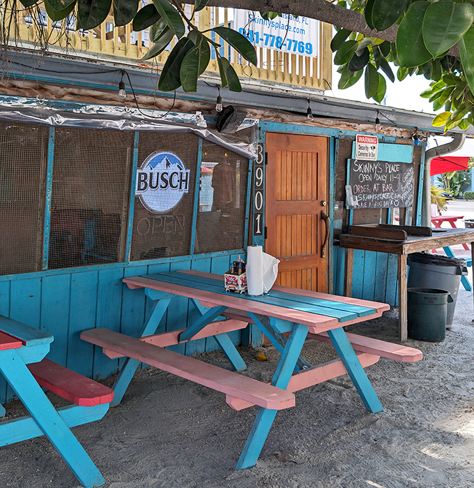 Colorful picnic tables under tropical shade&mdash;nature's dining room where salt air seasons every bite for free.
