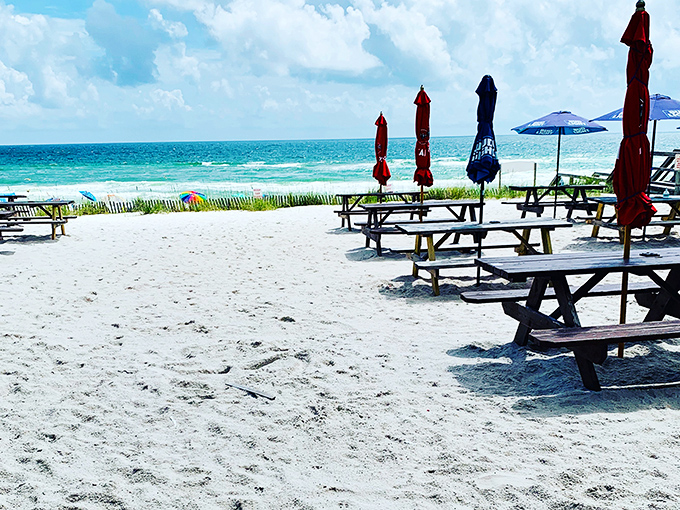 Palm trees and good vibes set the scene for unforgettable meals under Florida's endless sunshine.