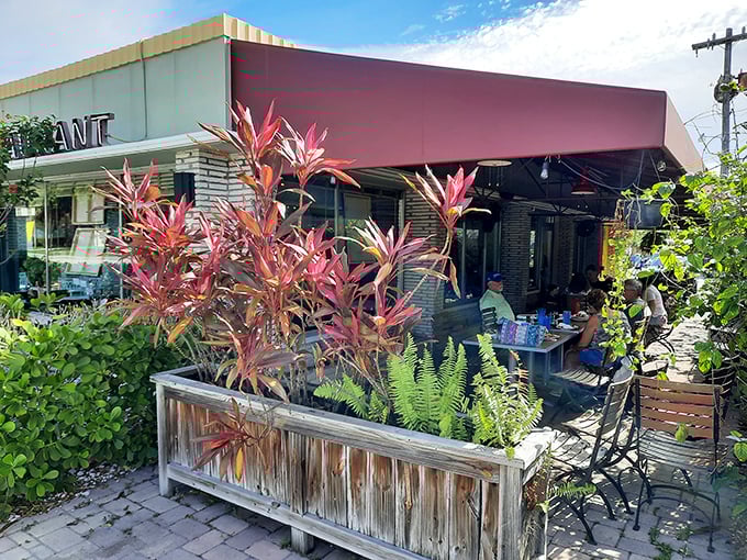 The outdoor patio&mdash;where Florida's natural beauty meets Howley's culinary artistry under the shade of vibrant tropical plants.