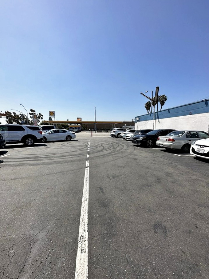 The parking lot has witnessed countless sugar-fueled pilgrimages. Each space holds stories of first bites and satisfied smiles.