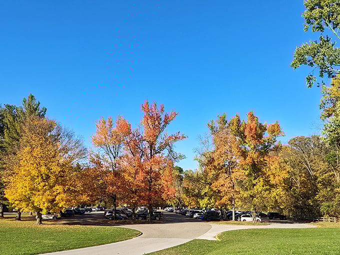 Fall's color palette on full display in the parking area. Even your car deserves front-row seats to nature's most spectacular fashion show.