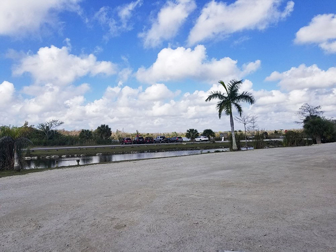 The unassuming parking area belies the natural wonders that await. Like finding a five-star experience behind a two-star facade.