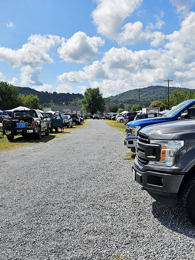 Pickup truck paradise! The parking area tells its own story of rural Virginia, where vehicles are as diverse as the treasures inside their beds.