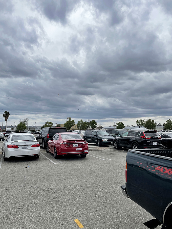 Parking lots transform into temporary cities where adventure begins before you even reach the entrance.