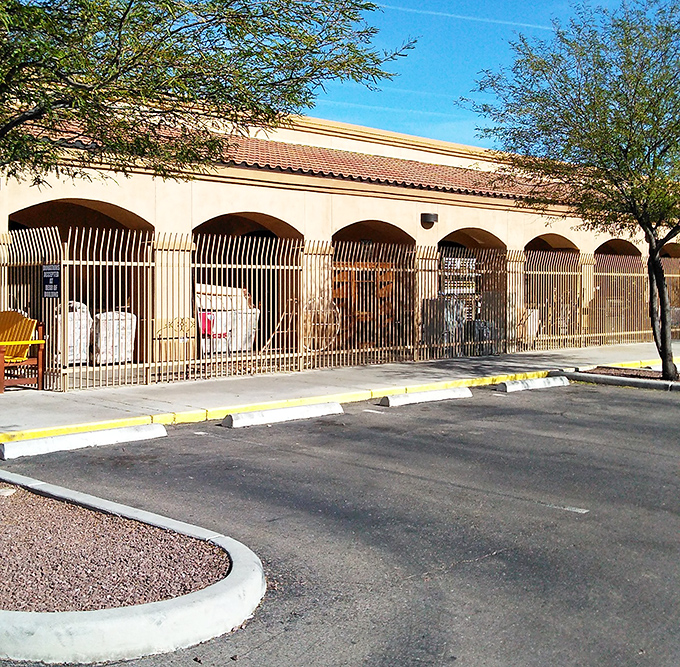 The Golden Goose sign stands proudly at 15970, a beacon for bargain hunters and a landmark for the thrift-obsessed in Catalina.