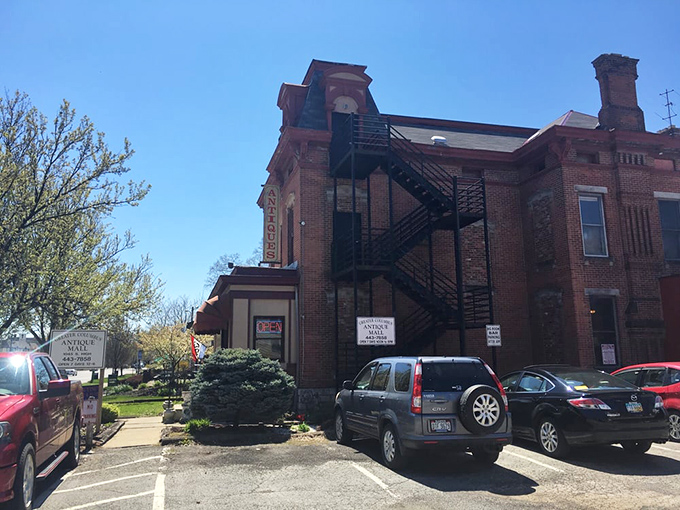 Treasure hunters' vehicles stand ready outside. Each car will return home slightly fuller than when it arrived.