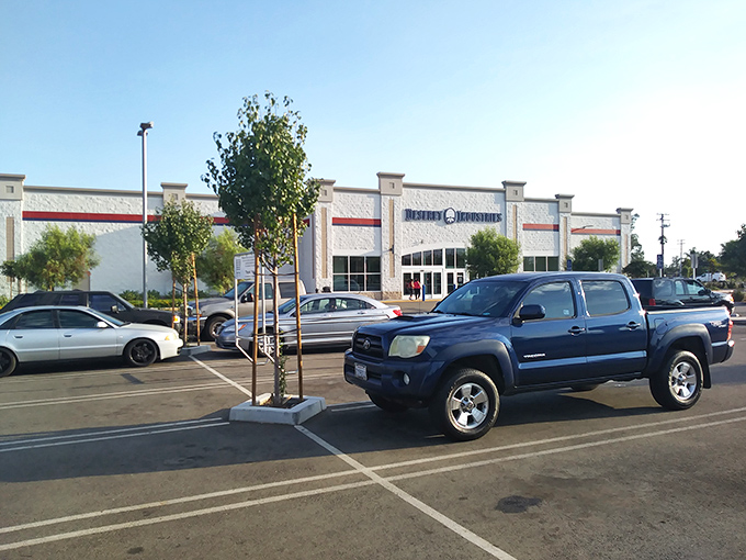 The parking lot stays busy with treasure hunters arriving from across California for secondhand shopping adventures.