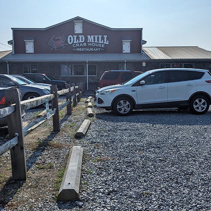 Even the parking lot has a no-nonsense charm. Your car might leave with gravel dust, but you'll leave with seafood satisfaction.