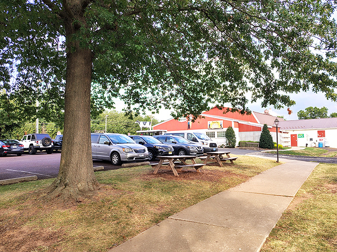 Shaded picnic tables await under Pennsylvania trees. Nature's dining room, where ice cream somehow tastes even better with a side of fresh air.