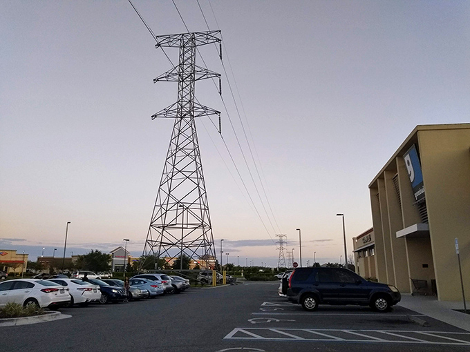 The parking lot at dusk, where power lines create an industrial ballet against the twilight sky as shoppers return with their newfound treasures.
