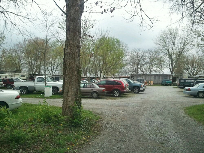 The parking lot fills early with trucks and determination &ndash; serious treasure hunters know timing is everything.