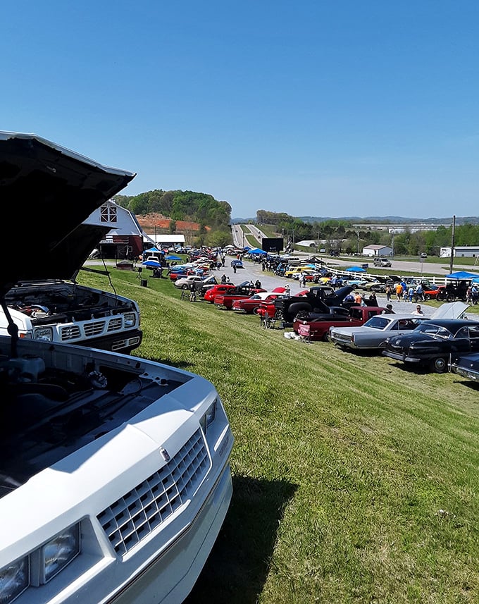 Classic car enthusiasts gather their mechanical beauties, proving that flea markets aren't just about what's for sale but the community that forms around shared passions.