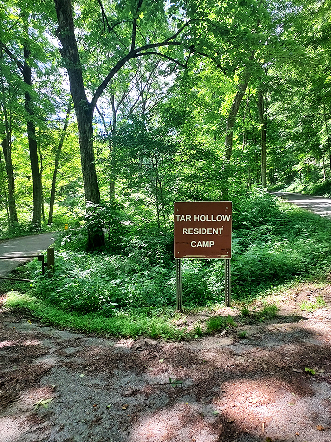 The road less traveled leads to the best camping spots. This shaded path promises quiet nights under whispering leaves.