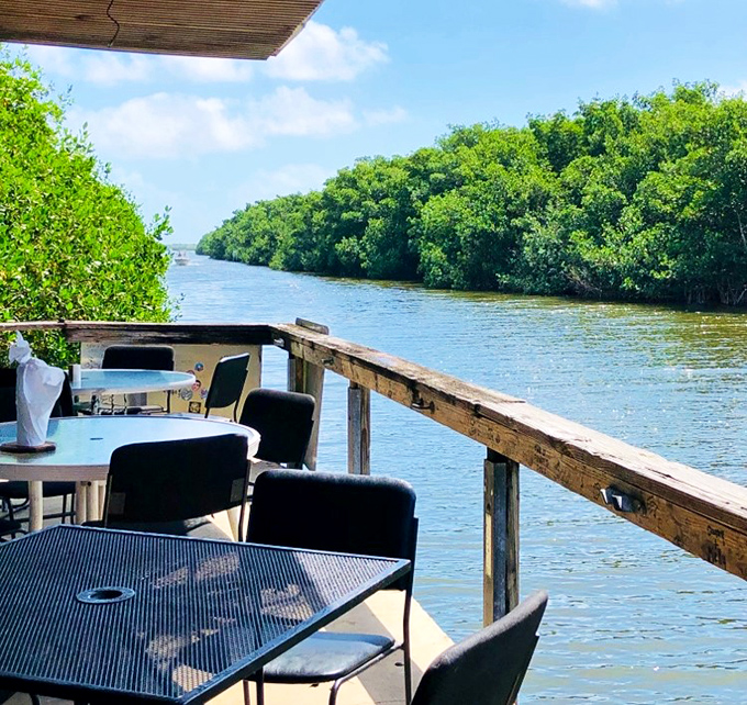 The patio view reminds you why you came to Florida in the first place&mdash;mangroves, blue water, and the promise of doing absolutely nothing important.