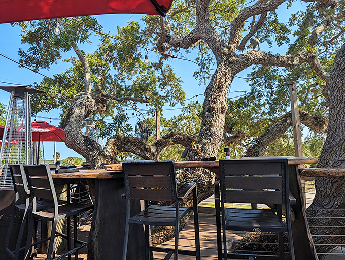 Nature's dining room at its finest. Ancient oaks provide a canopy over outdoor tables where every breeze enhances the experience.