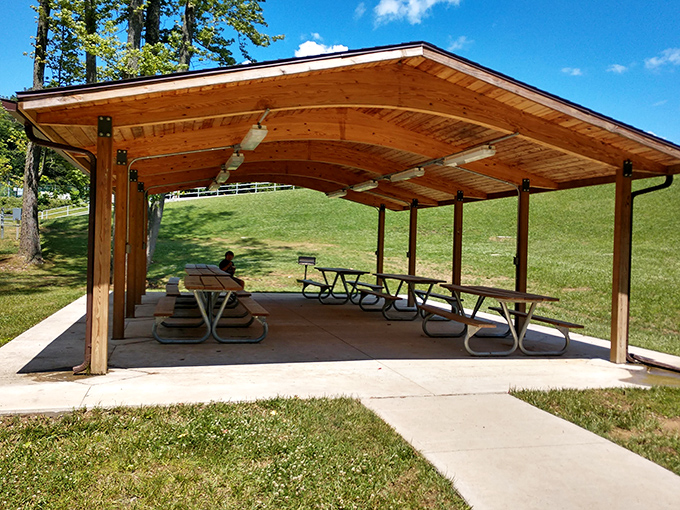 This pavilion has hosted more family reunions than anyone can count. If picnic tables could talk, they'd need their own podcast.