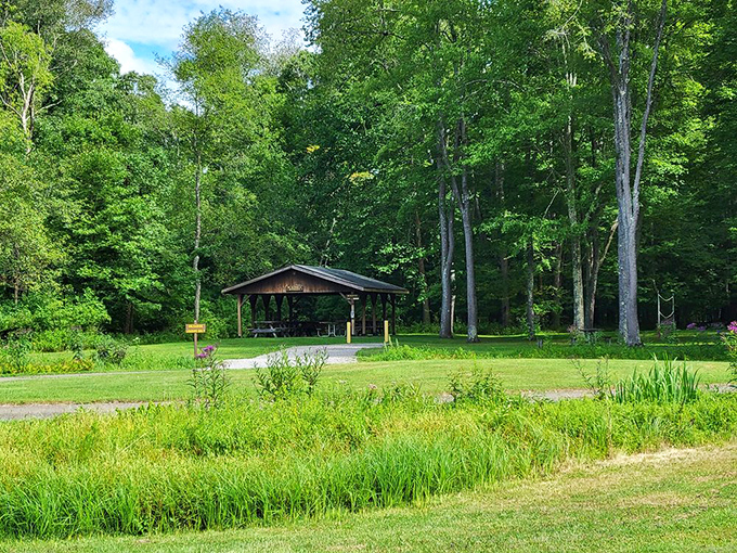 Picnic shelters nestled among towering trees offer respite for weary hikers and hungry families alike.