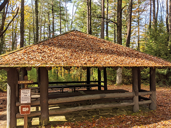 Picnic pavilion perfection. Lunch tastes 37% better when surrounded by falling leaves and forest silence.