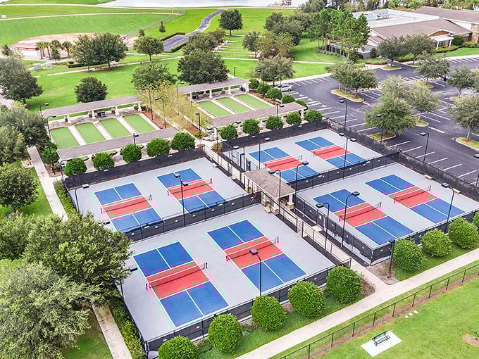 Pickleball courts: where friendly competition meets daily exercise, and "I used to play tennis" becomes "I'm addicted to this game."