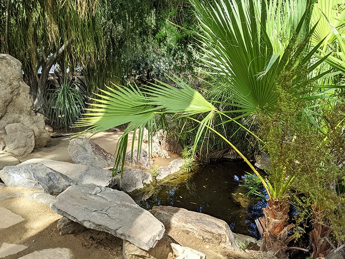 A serene oasis provides liquid relief amid the arid landscape. Even desert plants appreciate a good poolside moment.