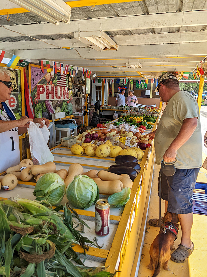 Farm-fresh produce that makes grocery store vegetables look like sad, distant relatives. The man and his dog both know where the good stuff is.