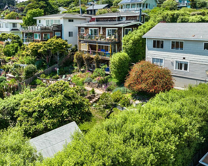 Gardens gone gloriously wild &ndash; where Northern California's perfect climate turns ordinary backyards into botanical wonderlands.