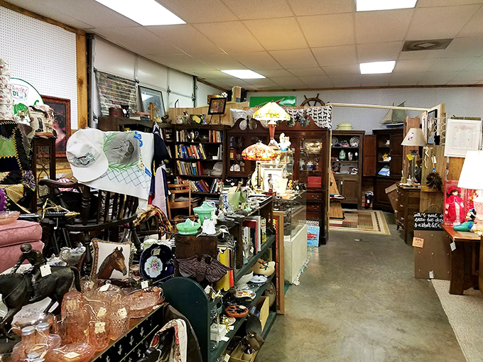 Books with weathered spines stand like soldiers, their stories twice-told&mdash;once within their pages and again in the journey that brought them here.