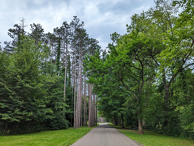 Even the roads here can't help being photogenic, curving through nature like they're showing off.