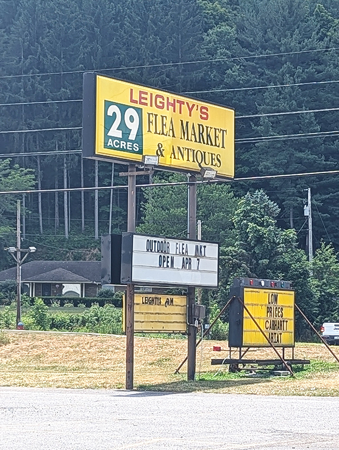 Twenty-nine acres of possibilities &ndash; because sometimes bigger really is better for treasure hunting.