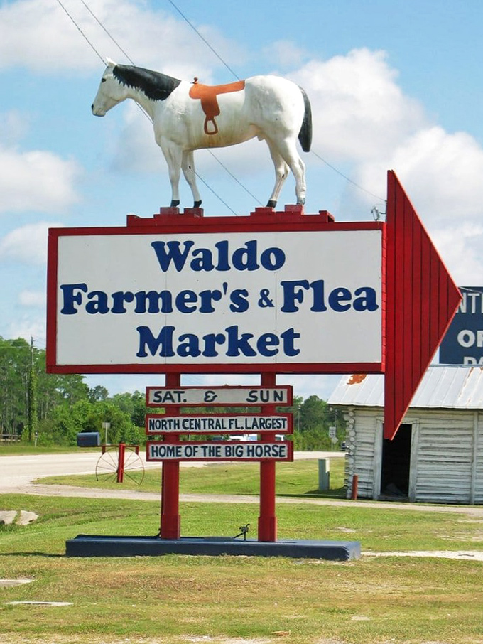 The iconic horse stands sentinel above the market's famous sign, a beacon for bargain hunters that says, "Yes, you've found the right place!"
