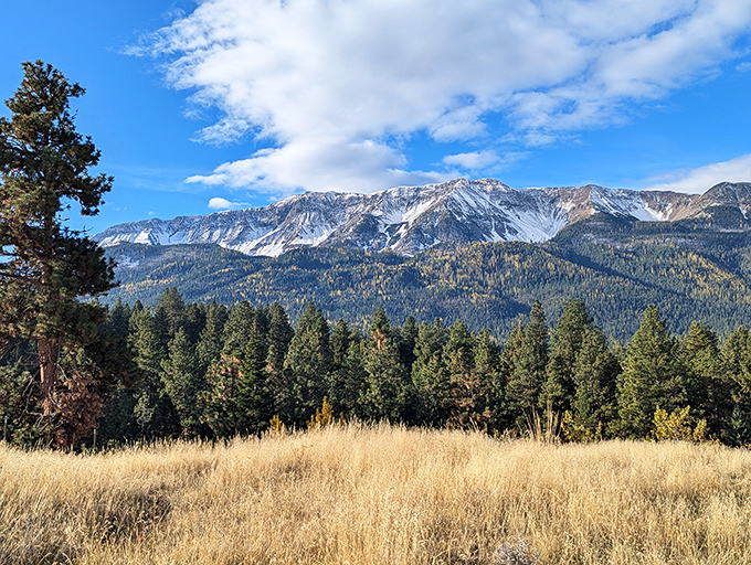 The Wallowa Mountains showcase nature's grandeur with snow-capped peaks rising above pine forests – no filter needed for these postcard-worthy vistas.