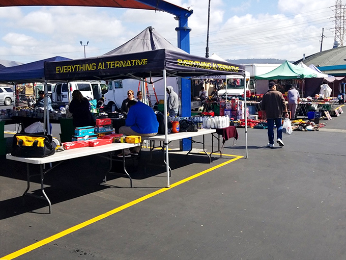 "Everything Alternative" indeed. This stall embodies the flea market spirit&mdash;where one person's random collection becomes another's perfect find.