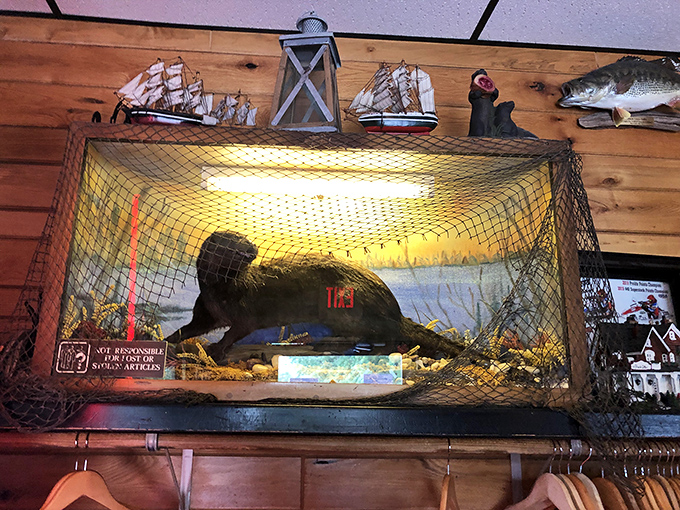 The taxidermied black otter display&mdash;because what's a Wisconsin supper club without a little local wildlife decor?