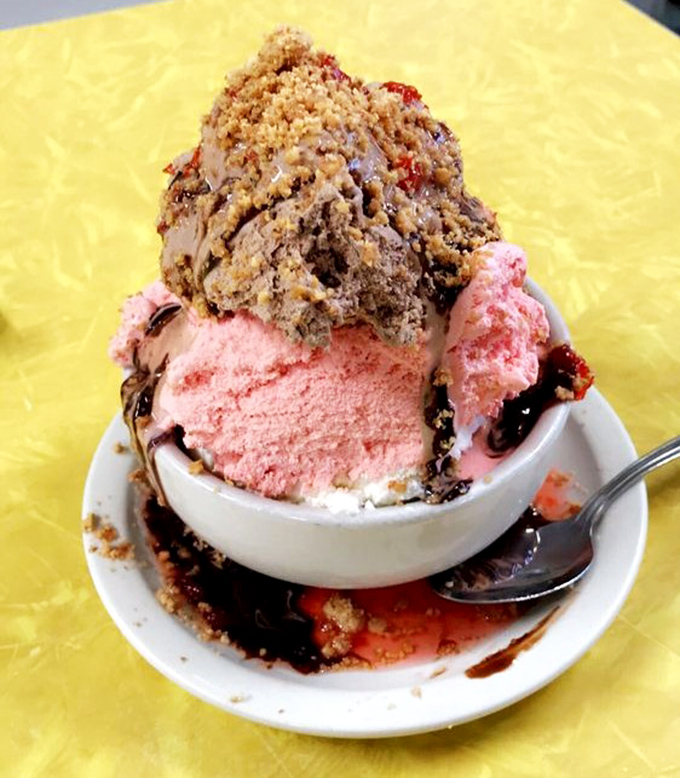 A scoop of strawberry, a scoop of chocolate, and a whole lot of happiness. This isn't dessert &ndash; it's joy in a bowl.