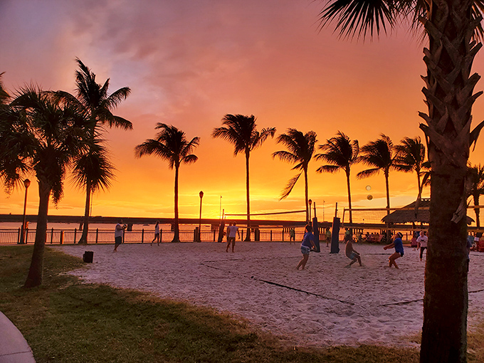 Sunset volleyball under swaying palms&mdash;the kind of evening entertainment that makes you wonder why anyone pays for streaming services.