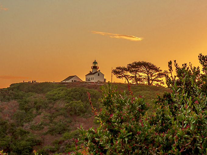 Sunset transforms the lighthouse into a silhouette worthy of a romance novel cover. Golden hour here makes amateur photographers look like professionals.