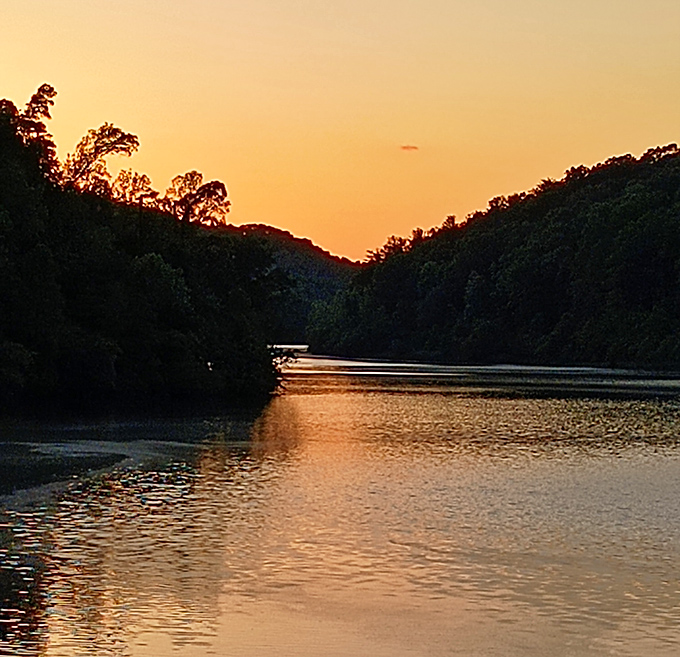 Sunset turns Dow Lake into liquid gold, proving that Mother Nature was the original Instagram filter developer.