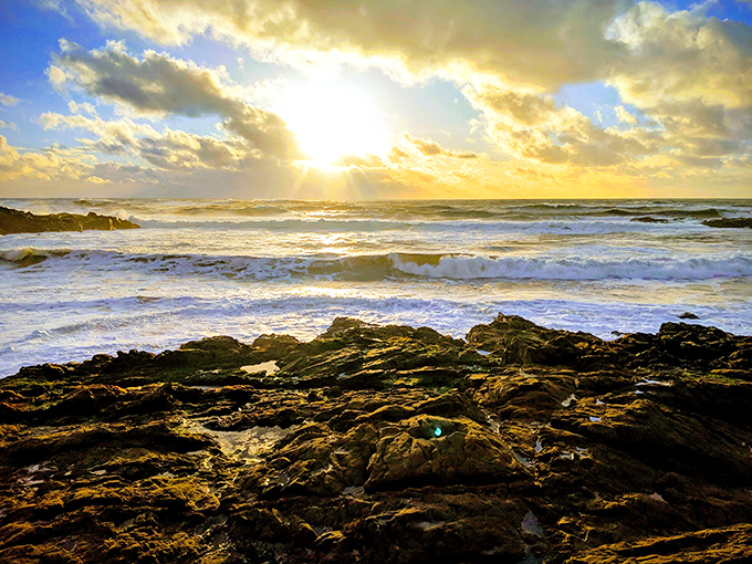 Golden hour alchemy transforms ordinary rocks and waves into a scene worthy of a desktop background or meditation app.