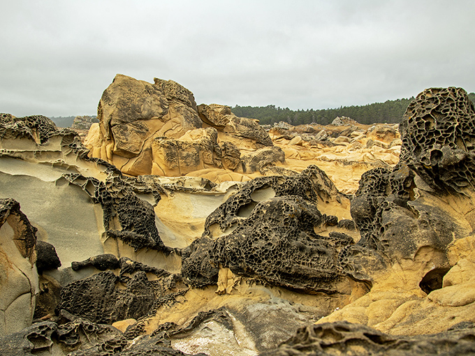Tafoni formations create a honeycomb landscape that looks like it belongs on another planet. Mars called&mdash;it wants its rocks back.