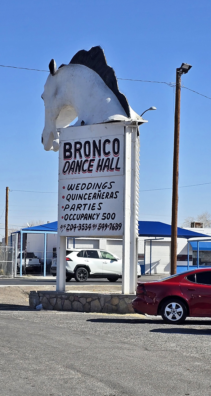 The legendary horse head sign has welcomed generations of deal-seekers. Like a guardian spirit of commerce, it watches over the bustling marketplace below.