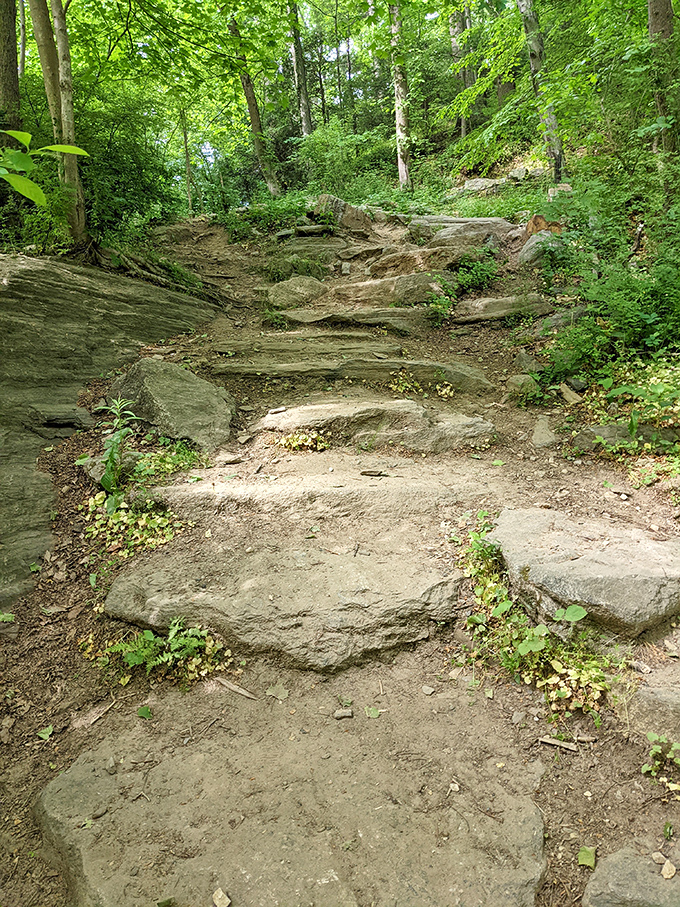 Stairway to serenity: These natural stone steps lead hikers deeper into the forest, promising adventures that no virtual reality can match.