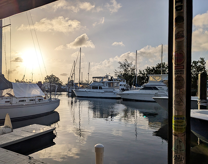 The marina view at sunset transforms an ordinary meal into the kind of memory that has you checking real estate prices in the Keys.