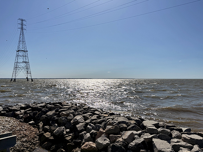 The James River view: half the reason locals keep this place to themselves. Sunlight dancing on water makes everything taste better.