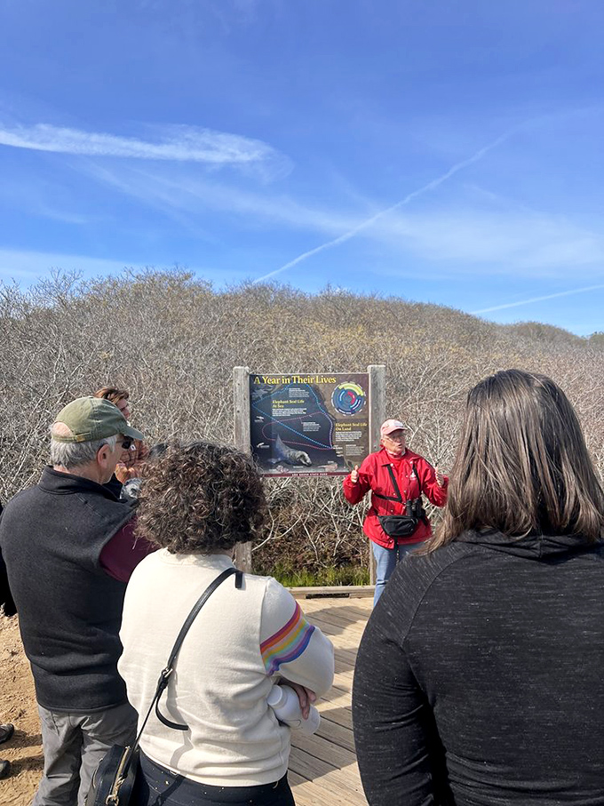 Docents sharing nature's secrets with visitors&mdash;like getting the director's commentary on Mother Nature's greatest production.
