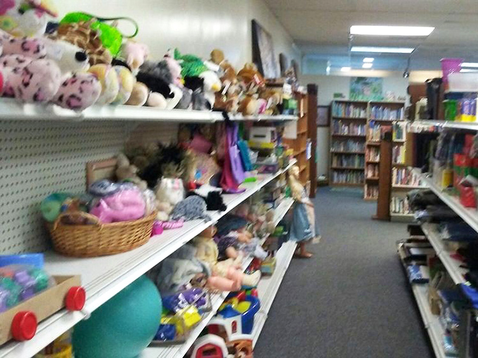 The toy section, where childhood memories line the shelves and parents discover that the playthings of their youth are now considered "vintage collectibles."