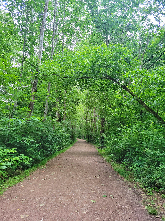 The trail leading to Moonville offers a deceptively peaceful prelude to the tunnel's spooky reputation.