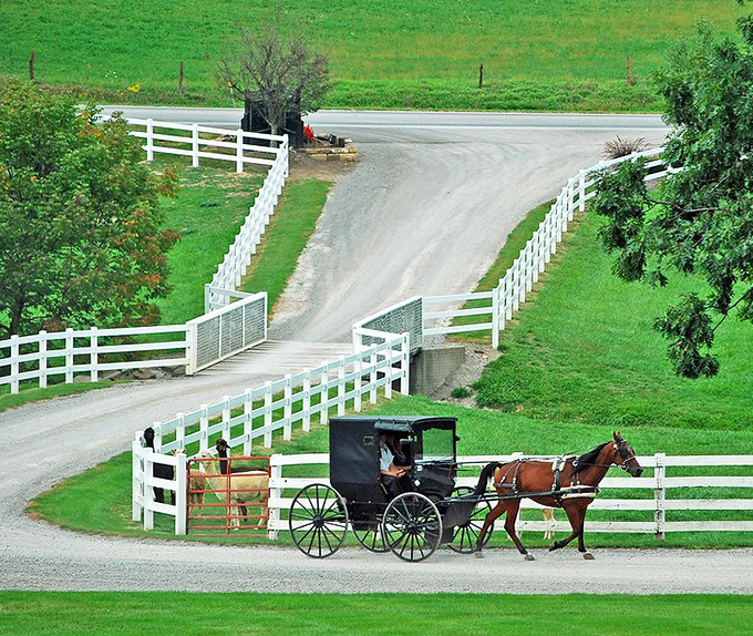 Horse-drawn buggies aren't tourist attractions but daily transportation &ndash; a reminder that some of the best journeys happen at four miles per hour.