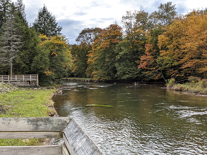 The river's gentle curve showcases Pennsylvania's fall foliage at its finest. This isn't just a view; it's nature's version of a standing ovation.